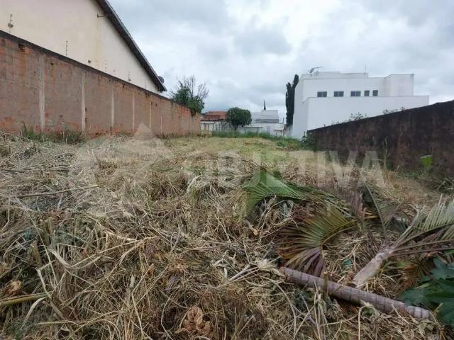 Terreno / Lote para Venda em Uberlândia/MG Cidade Jardim