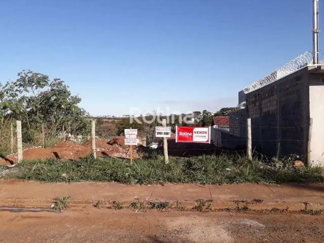 Terreno / Lote para Venda em Uberlândia/MG Cidade Jardim