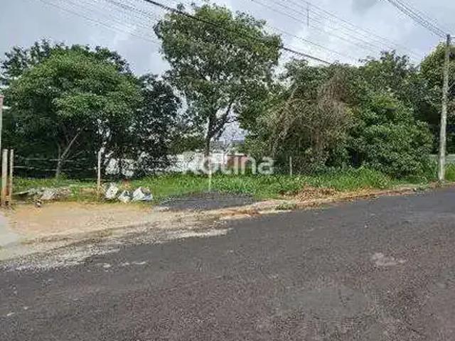 Terreno / Lote para Venda em Uberlândia/MG Cidade Jardim