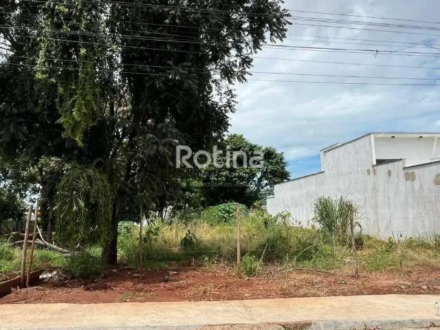Terreno / Lote para Venda em Uberlândia/MG Cidade Jardim