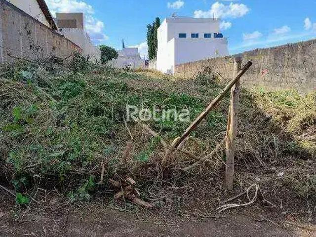 Terreno / Lote para Venda em Uberlândia/MG Cidade Jardim