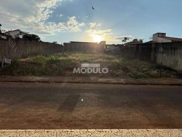 Terreno / Lote para Venda em Uberlândia/MG Cidade Jardim