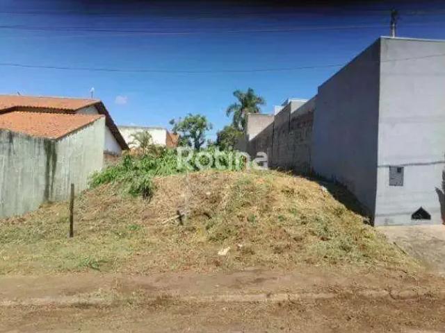 Terreno / Lote para Venda em Uberlândia/MG Cidade Jardim