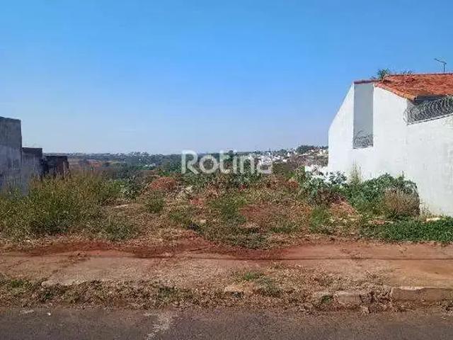 Terreno / Lote para Venda em Uberlândia/MG Cidade Jardim