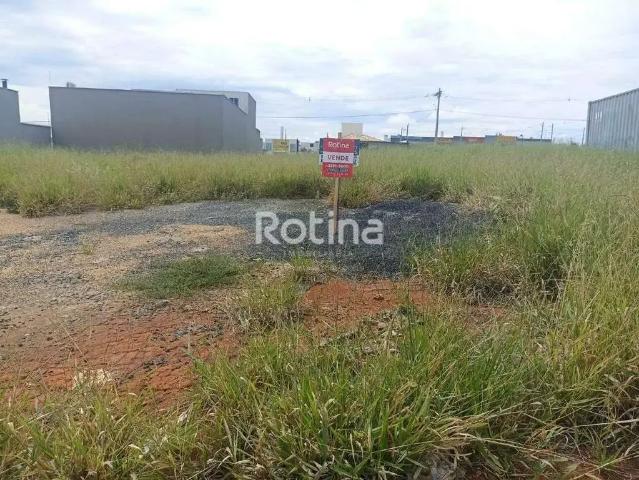 Terreno / Lote para Venda em Uberlândia/MG Aclimação
