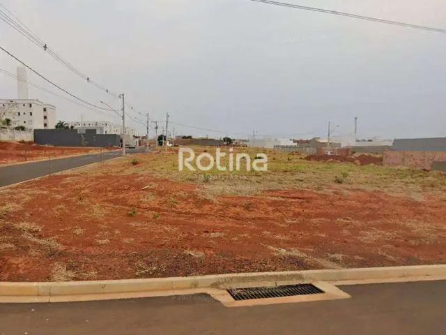 Terreno / Lote para Venda em Uberlândia/MG Aclimação