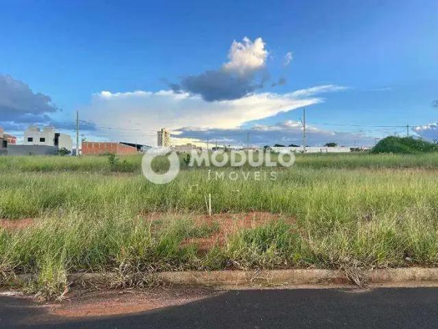 Terreno / Lote para Venda em Uberlândia/MG Aclimação