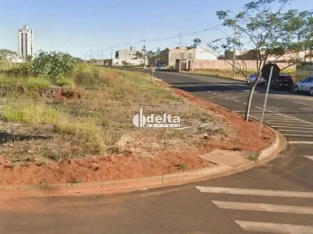 Terreno / Lote para Venda em Uberlândia/MG Alto Umuarama