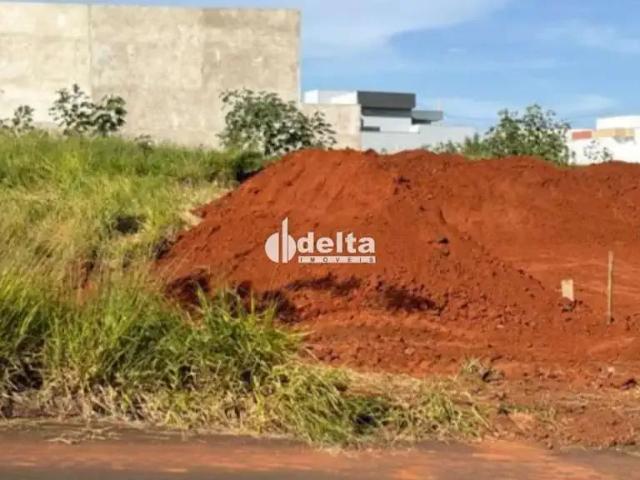 Terreno / Lote para Venda em Uberlândia/MG Alto Umuarama