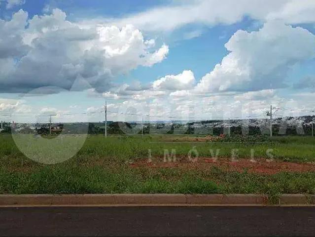 Terreno / Lote para Venda em Uberlândia/MG Alto Umuarama