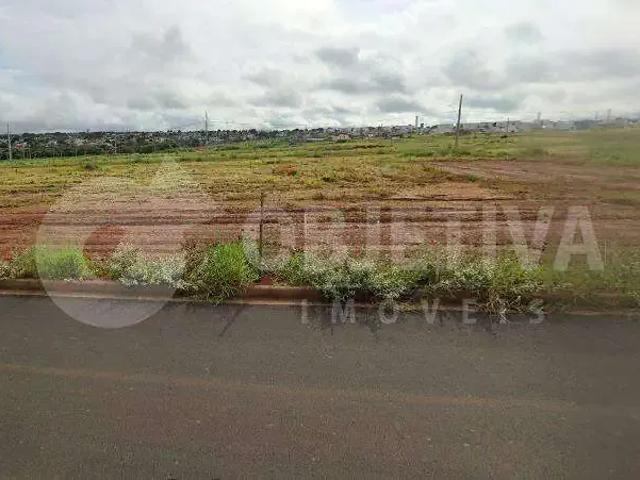 Terreno / Lote para Venda em Uberlândia/MG Alto Umuarama