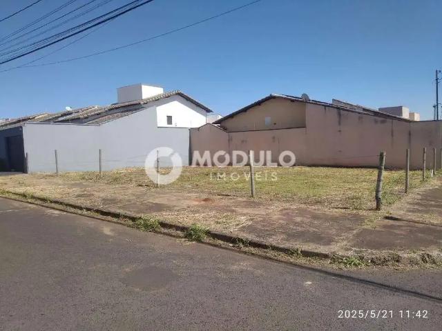 Terreno / Lote para Venda em Uberlândia/MG Alto Umuarama