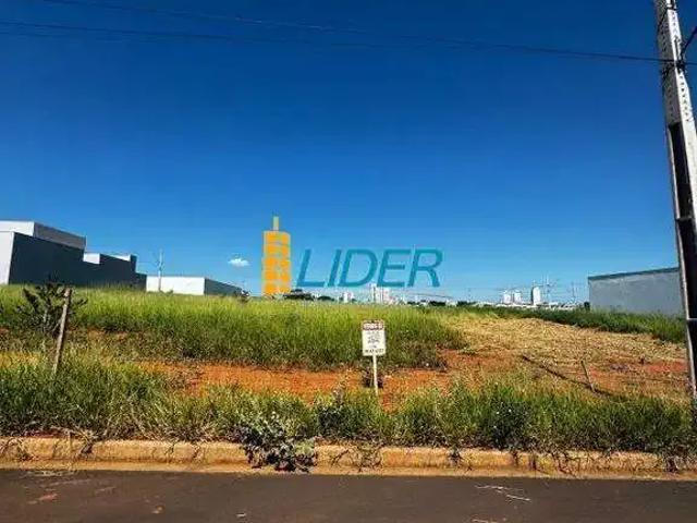 Terreno / Lote para Venda em Uberlândia/MG Alto Umuarama