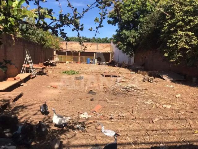 Terreno / Lote para Venda em Uberlândia/MG Alto Umuarama