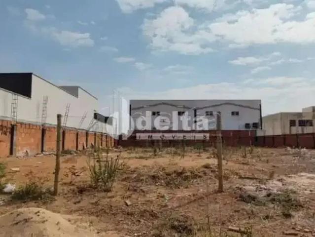 Terreno / Lote para Venda em Uberlândia/MG Alto Umuarama