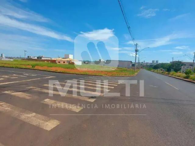 Terreno / Lote para Venda em Uberlândia/MG Alto Umuarama 1 Quartos