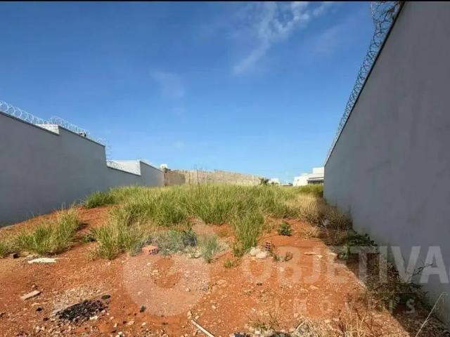 Terreno / Lote para Venda em Uberlândia/MG Alto Umuarama