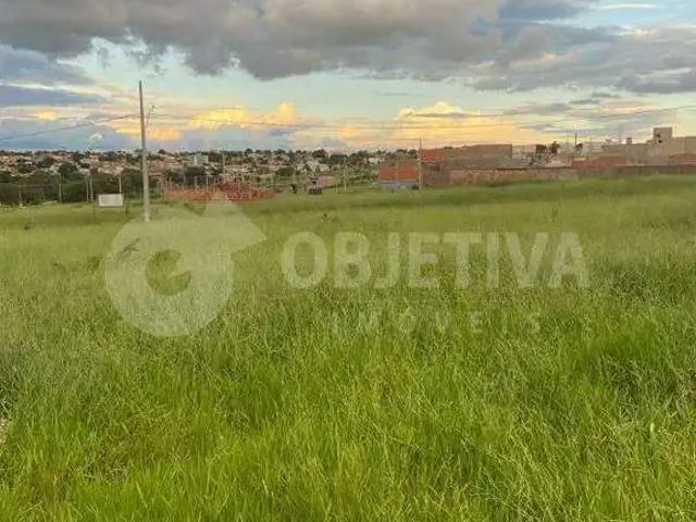 Terreno / Lote para Venda em Uberlândia/MG Alto Umuarama