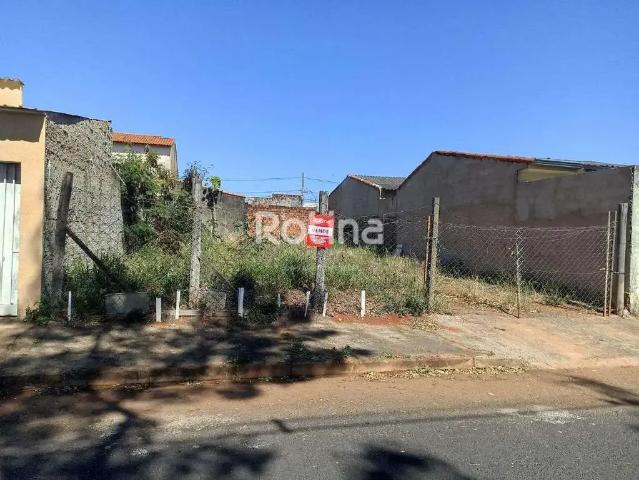 Terreno / Lote para Venda em Uberlândia/MG Alto Umuarama