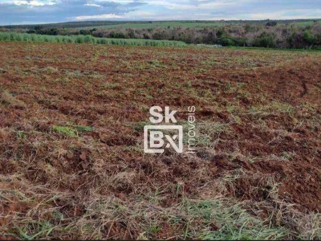 Terreno / Lote para Venda em Uberlândia/MG Área Rural de Uberlândia
