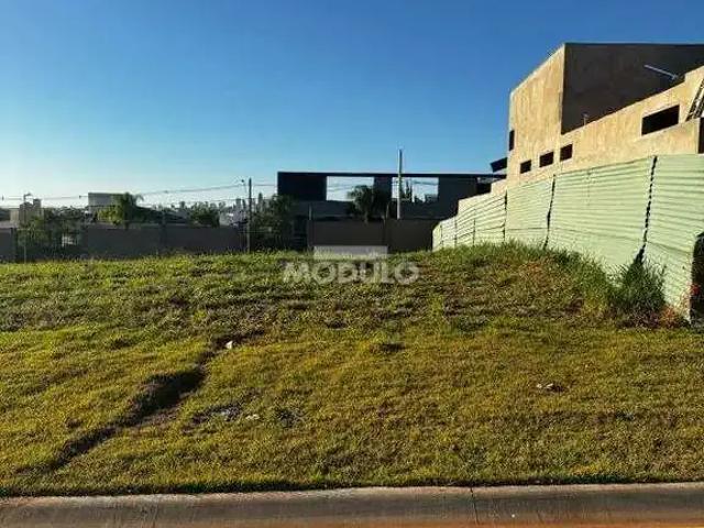 Terreno / Lote para Venda em Uberlândia/MG Gávea