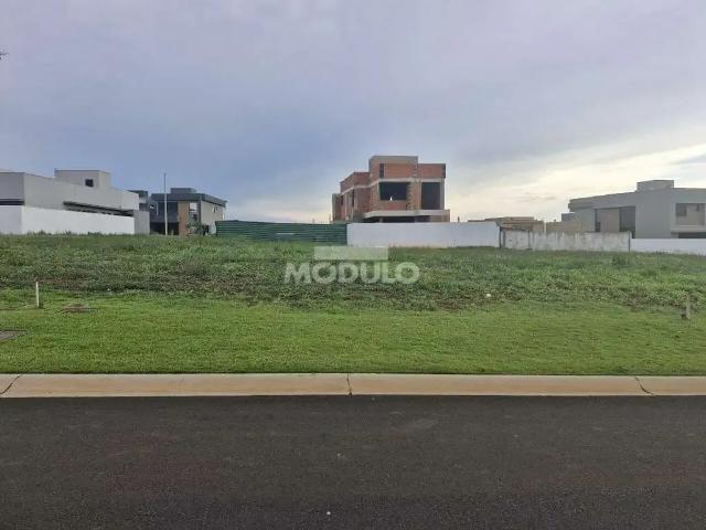 Terreno / Lote para Venda em Uberlândia/MG Gávea