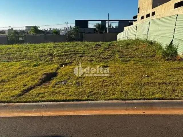 Terreno / Lote para Venda em Uberlândia/MG Gávea