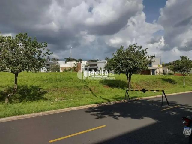 Terreno / Lote para Venda em Uberlândia/MG Gávea Sul