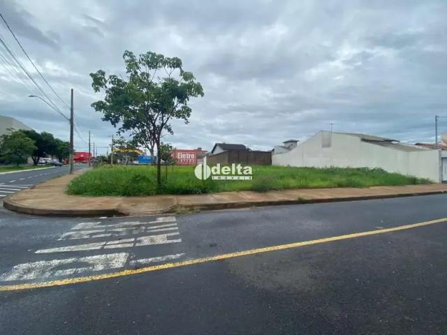 Terreno / Lote para Venda em Uberlândia/MG Granada
