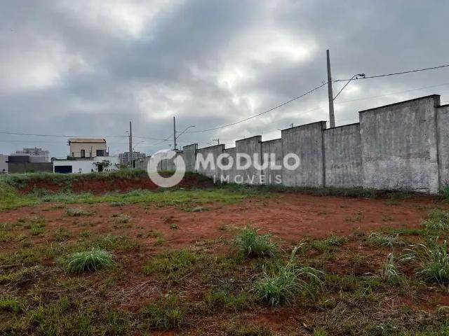 Terreno / Lote para Venda em Uberlândia/MG Grand Ville