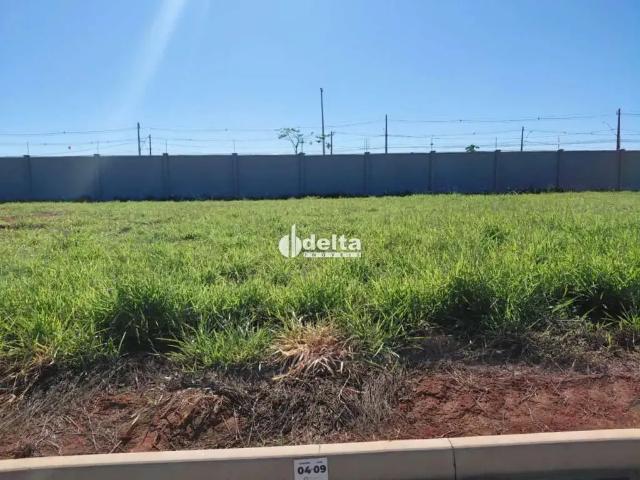 Terreno / Lote para Venda em Uberlândia/MG Grand Ville