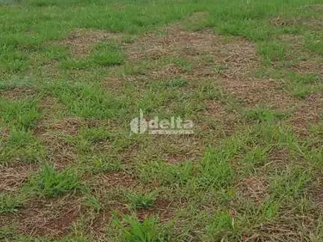 Terreno / Lote para Venda em Uberlândia/MG Grand Ville