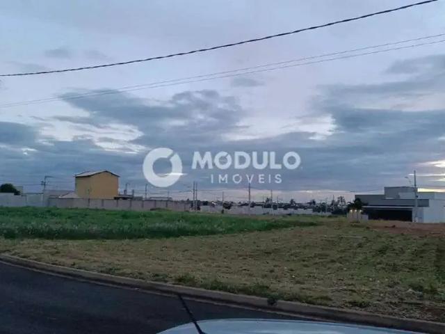 Terreno / Lote para Venda em Uberlândia/MG Grand Ville