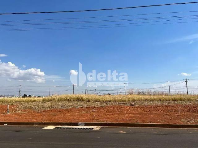Terreno / Lote para Venda em Uberlândia/MG Grand Ville