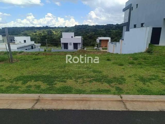 Terreno / Lote para Venda em Uberlândia/MG Granja Marileusa