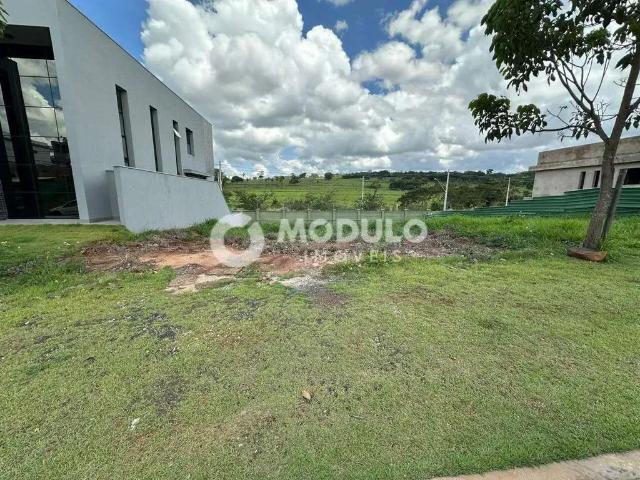 Terreno / Lote para Venda em Uberlândia/MG Granja Marileusa