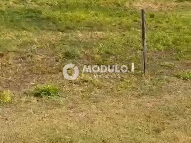 Terreno / Lote para Venda em Uberlândia/MG Granja Marileusa