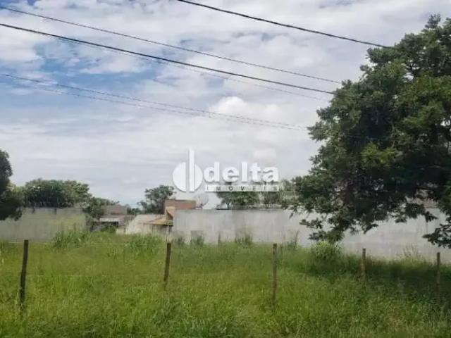 Terreno / Lote para Venda em Uberlândia/MG Itapema Sul