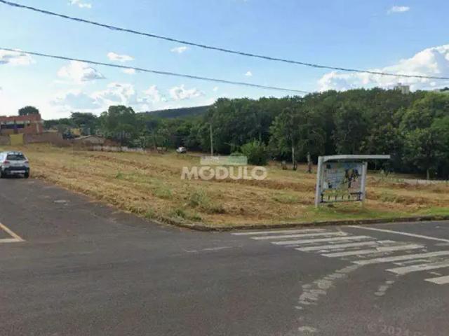 Terreno / Lote para Venda em Uberlândia/MG Jaraguá