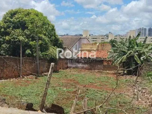Terreno / Lote para Venda em Uberlândia/MG Jaraguá