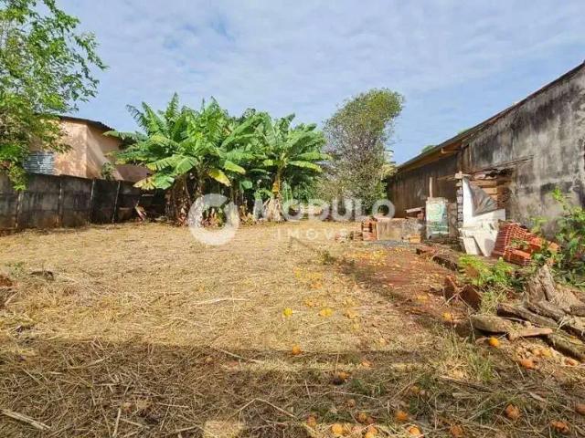 Terreno / Lote para Venda em Uberlândia/MG Jaraguá