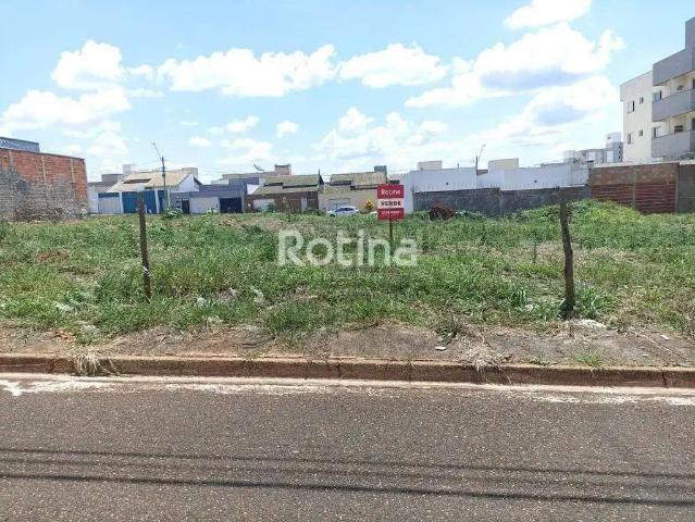 Terreno / Lote para Venda em Uberlândia/MG Jardim Brasília