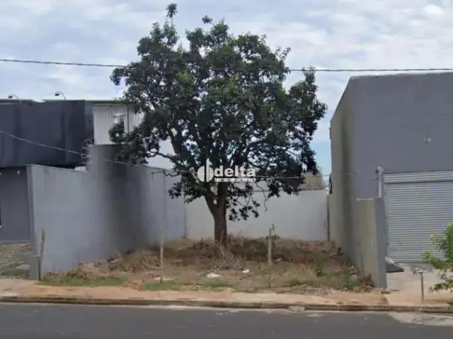 Terreno / Lote para Venda em Uberlândia/MG Jardim Califórnia