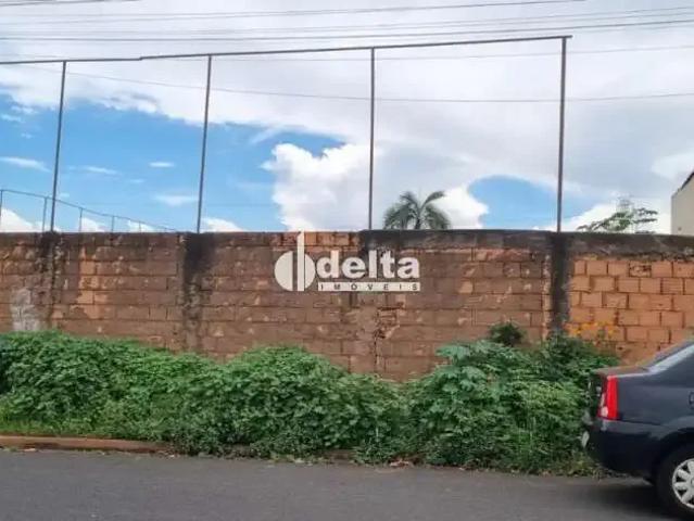 Terreno / Lote para Venda em Uberlândia/MG Jardim Canaã