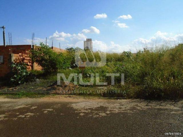 Terreno / Lote para Venda em Uberlândia/MG Jardim Colina