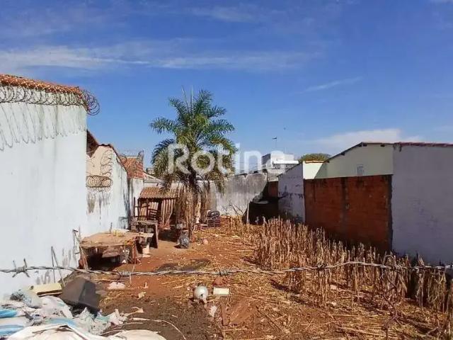 Terreno / Lote para Venda em Uberlândia/MG Jardim das Palmeiras