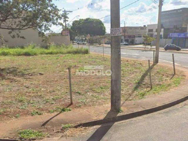 Terreno / Lote para Venda em Uberlândia/MG Jardim das Palmeiras
