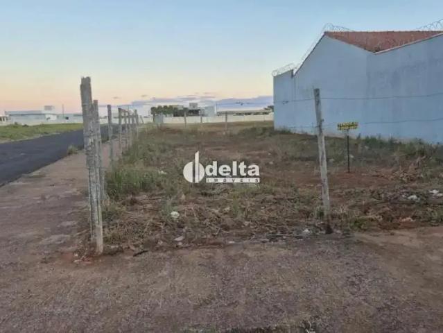 Terreno / Lote para Venda em Uberlândia/MG Jardim das Palmeiras