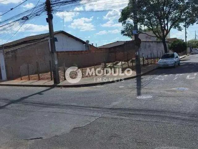 Terreno / Lote para Venda em Uberlândia/MG Jardim das Palmeiras