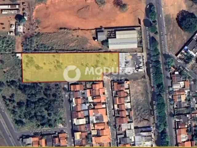 Terreno / Lote para Venda em Uberlândia/MG Jardim Europa